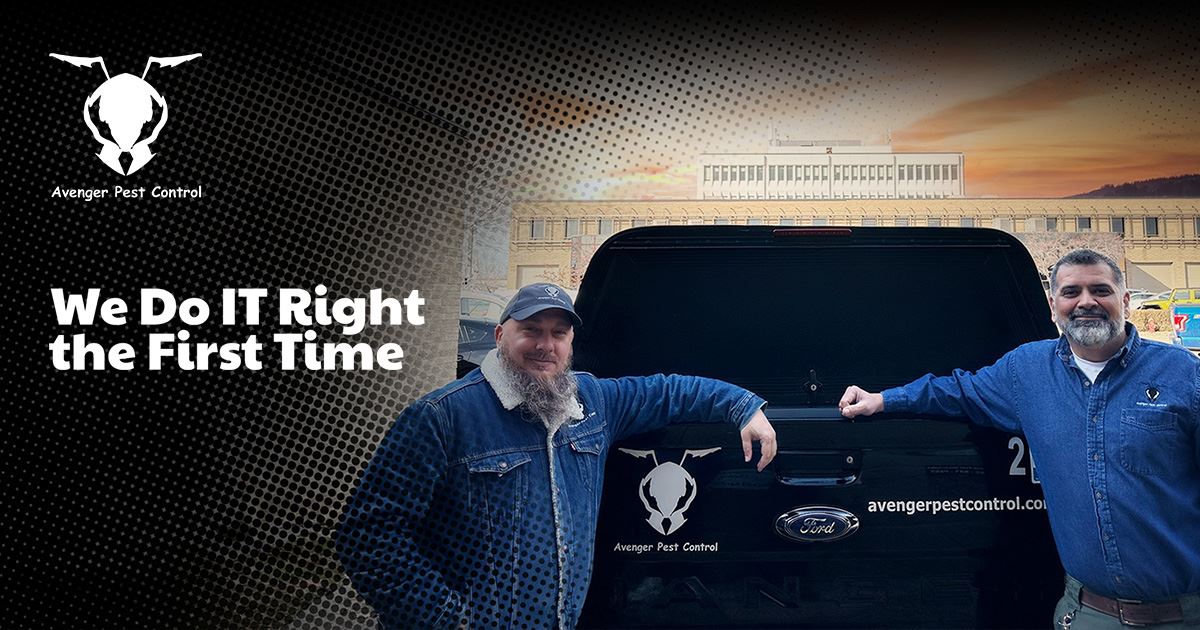 Expert Pest Control Cleveland, OH | Avenger Pest Control